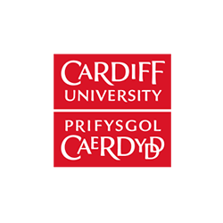 Metal Atoms on Surfaces and Interfaces (MASI) for Sustainable Future